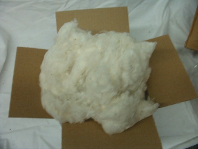 The Rural Connection: Ginned cotton