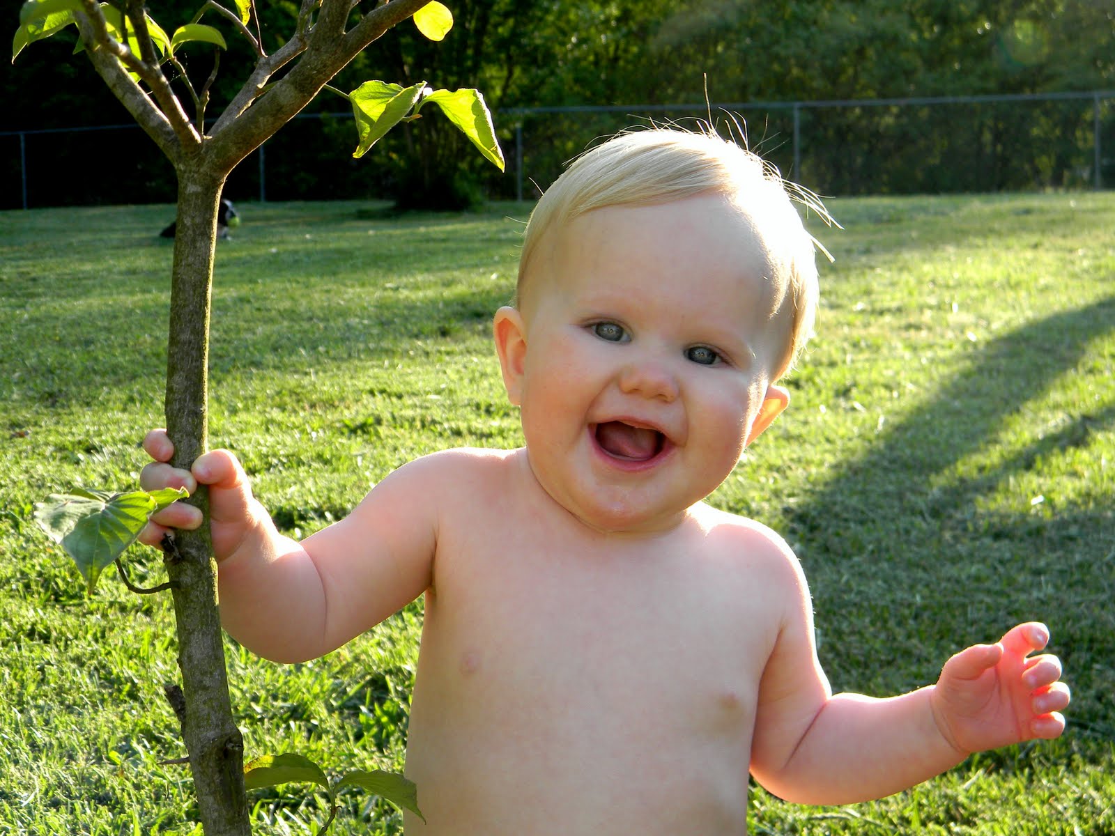 Phillips Family: The Most Beautiful Baby in the World...