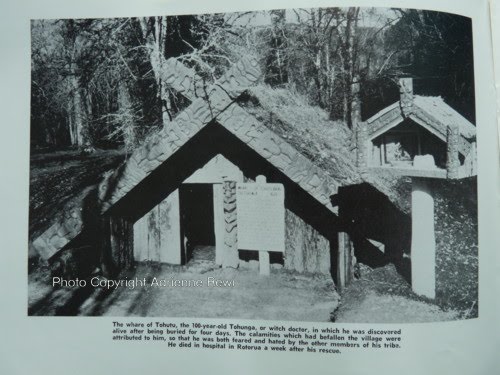 Introducing Maori Lifestyles: The Buried Village of Te Wairoa - A Book