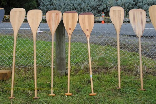 Introducing Maori Lifestyles: Paddling a Waka