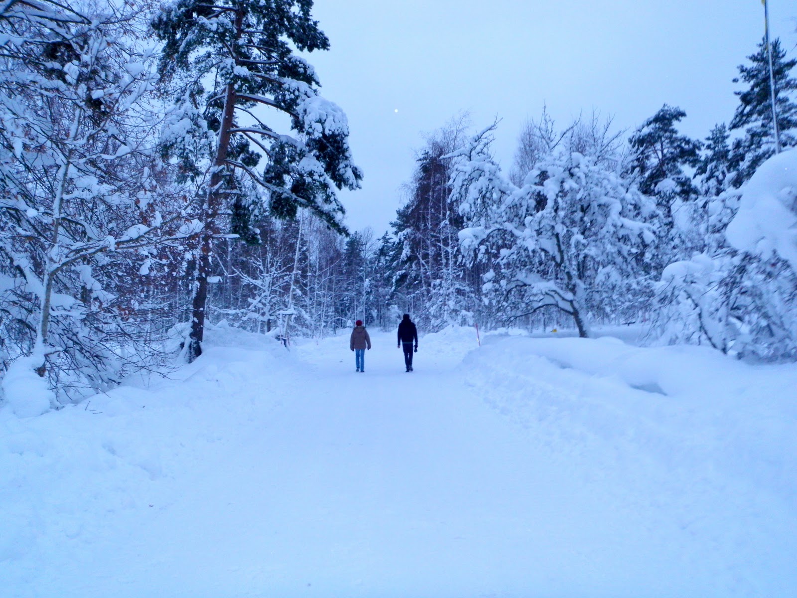 Laura's Life in Sweden: Winter in Sweden