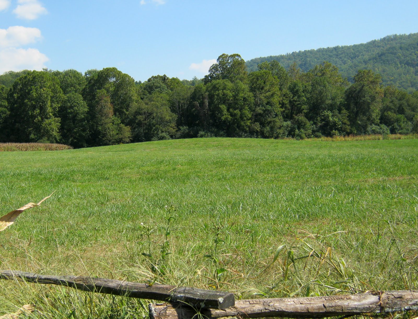 Thoughts from Polly's Granddaughter: Wordless Wednesday - Kituwah Mound