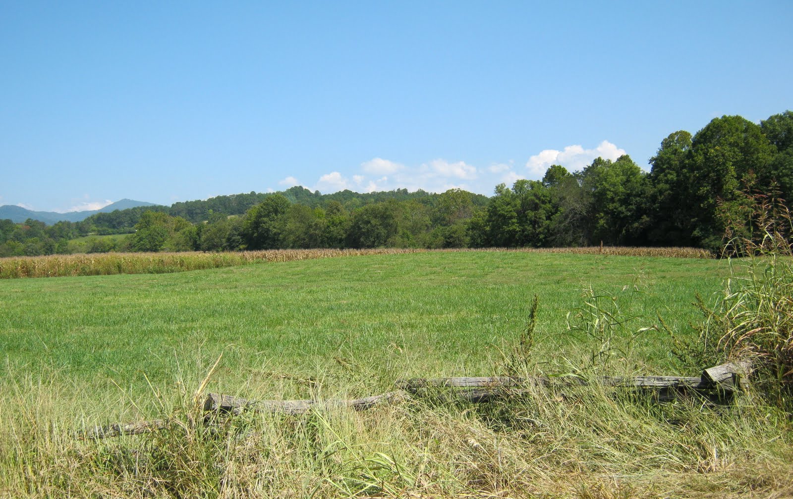 Thoughts from Polly's Granddaughter: Wordless Wednesday - Kituwah Mound