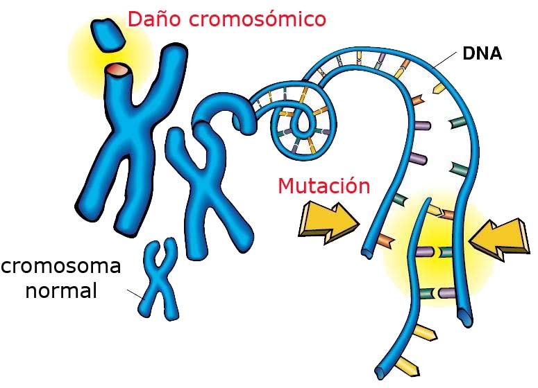 ¿Que es la genética toxicológica? ~ Ciber-Genética