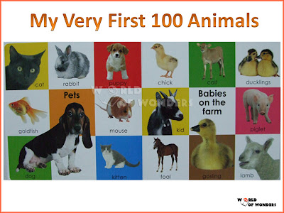 World of Wonders: Bright Baby My Very First 100 Animals