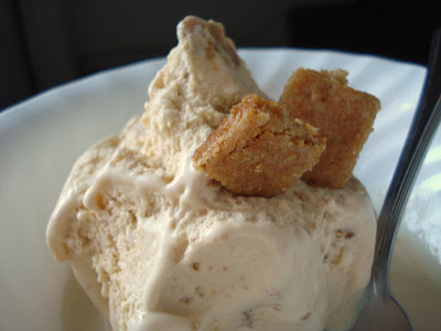 caramel graham cracker ice cream • One Lovely Life