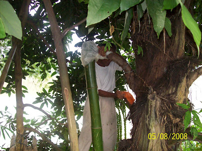 PANGSENAM: Mengambil Air Kabung...