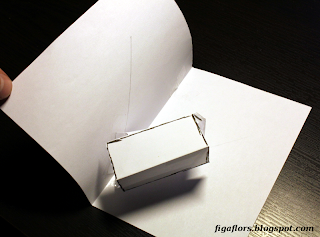 Figaflors i Braves: Paper engineering: A pop-up house