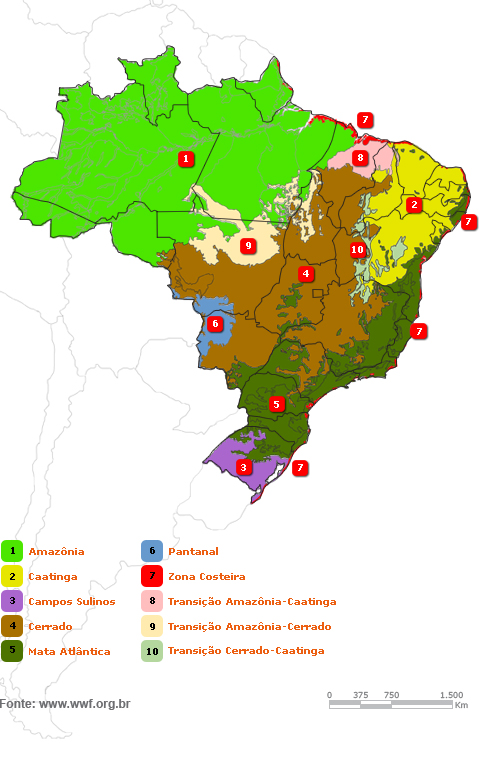 Questões Ambientais 1m6: Biomas Brasileiros Questões Ambientais 1m6: Biomas Brasileiros