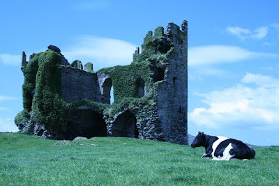 EVolution: IRELAND Chapter 3 Castle in a Cow Field
