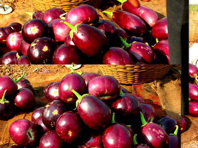 ♥Bright♥Morning♥Star♥: DELICIOUS DAYS FROM R2R-A BAKED AUBERGINE ...