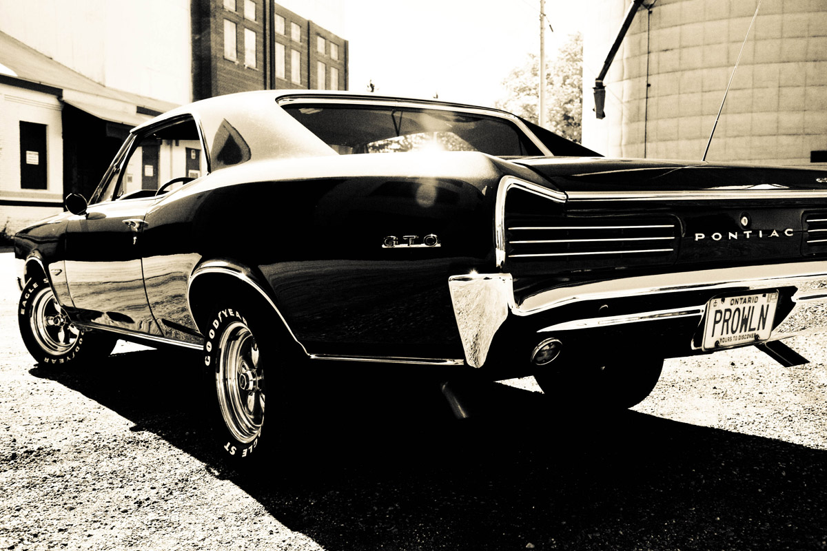 Niki Parker Photography: 66 GTO