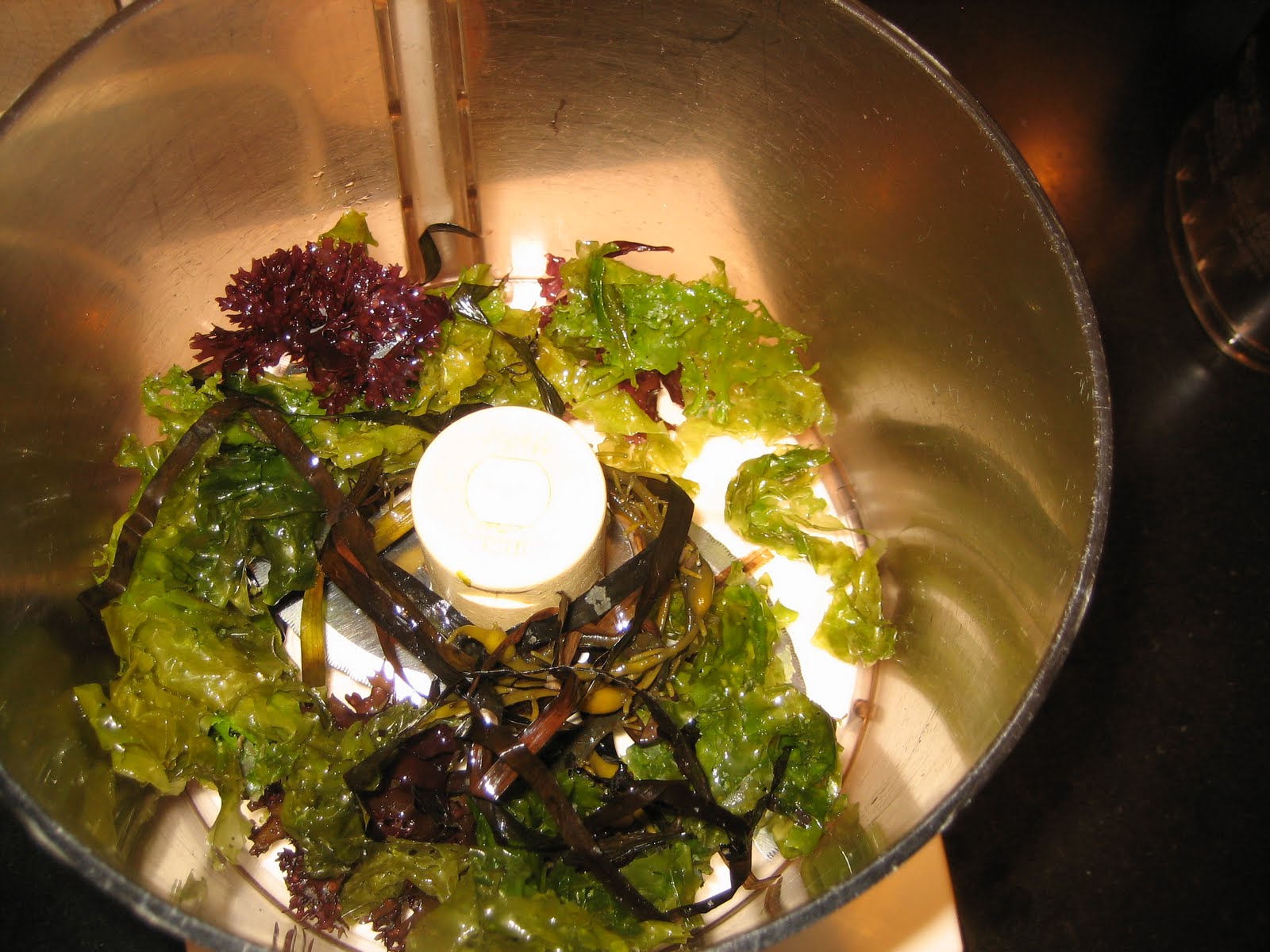 Have You Ever Picked A Carrot?: Some Help From Some Kelp