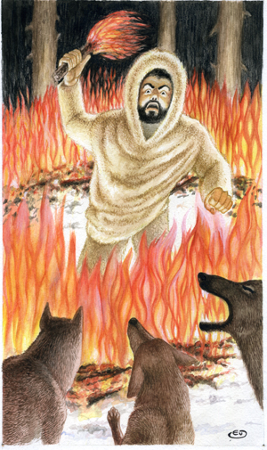 eufepru: Colmillo blanco