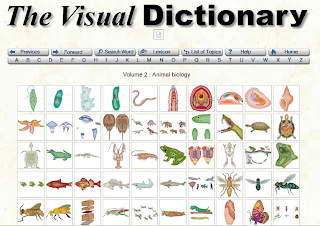Living Online: A Nice Web Based Visual Dictionary