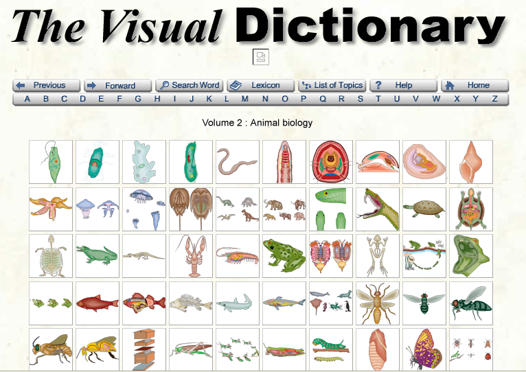 Living Online: A Nice Web Based Visual Dictionary