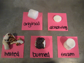 Morgan's Blog B2: Physical and Chemical Properties of Marshmallows