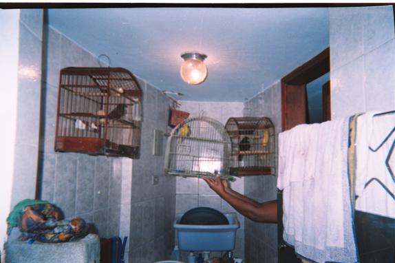 Qualidade de Vida: An inside look at a Rio favela