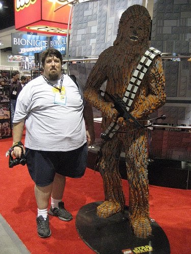 Professor Fatology Answers Your Questions on Fat: Flash!