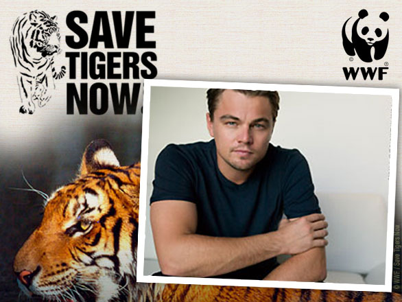 Leonardo DiCaprio pour le WWF Save Tigers Now - MaxiTendance
