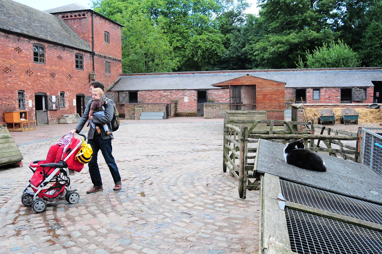 The land of all things Ernie: Sandwell Valley Park Farm