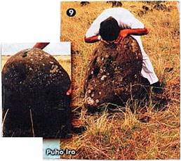 instrumentos musicales Isla De Pascua: Instrumentos Musicales - Puho iro