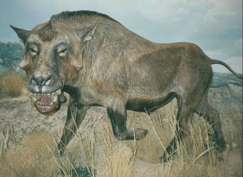 Science Avenger: Entelodonts!