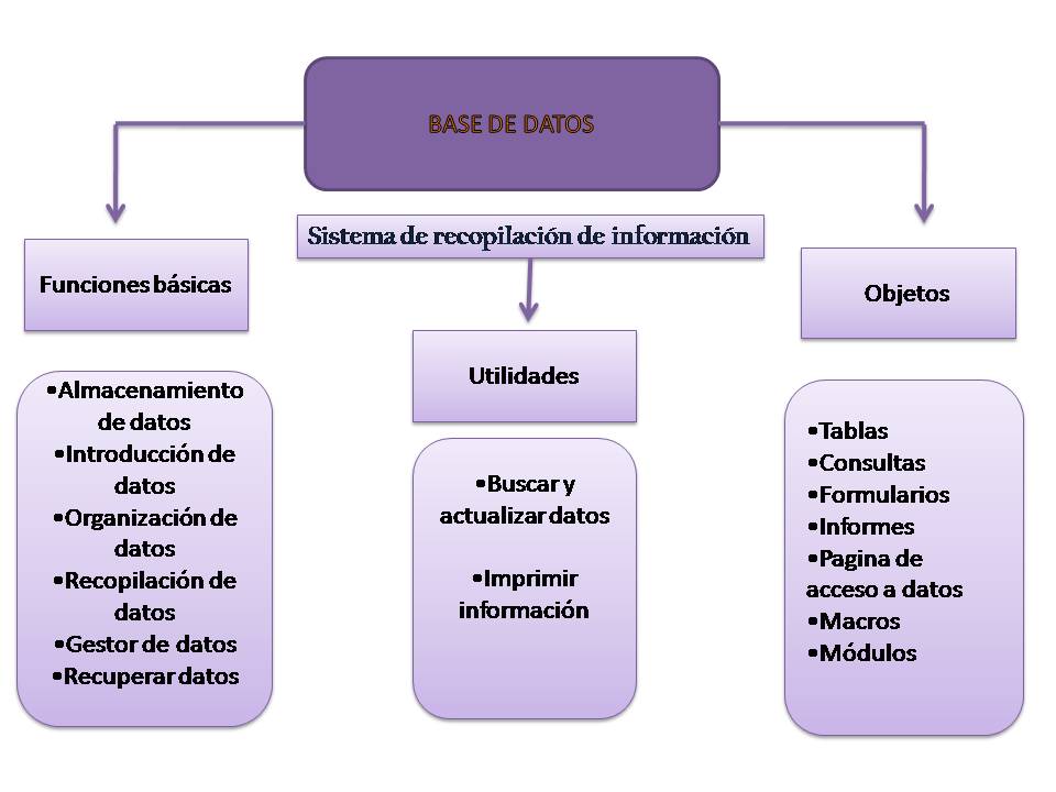 Informatica: Base De Datos