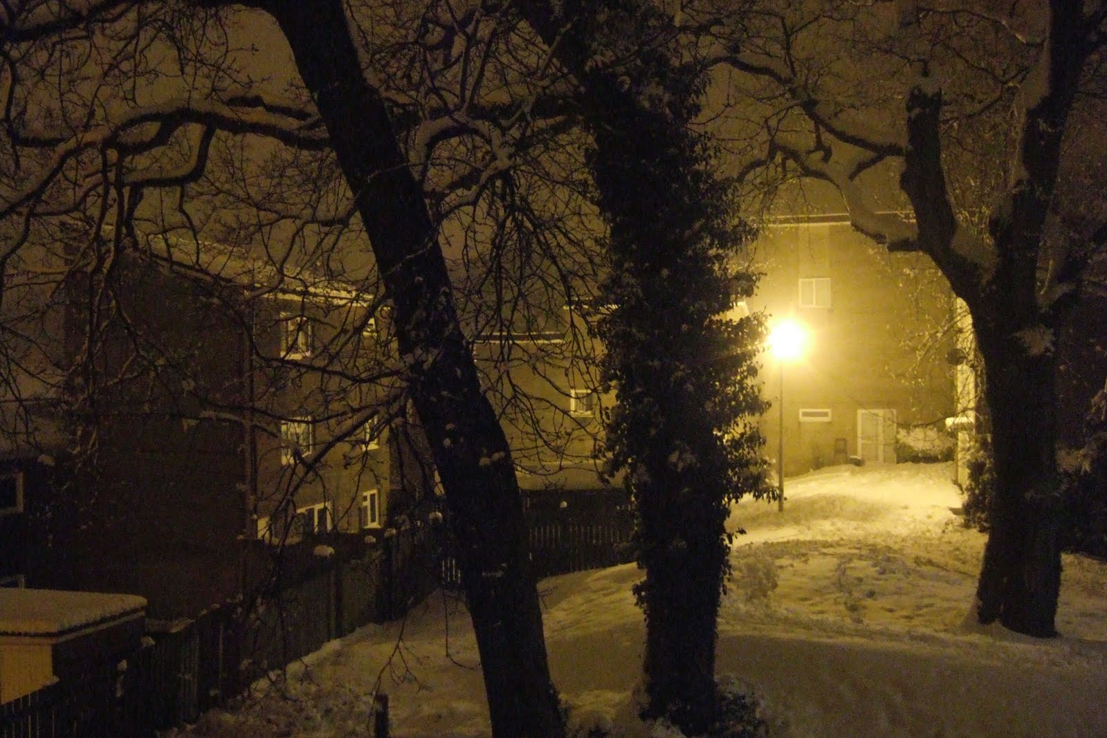 PHOTOS2PLEASEU: IN THE BLEAK MIDWINTER