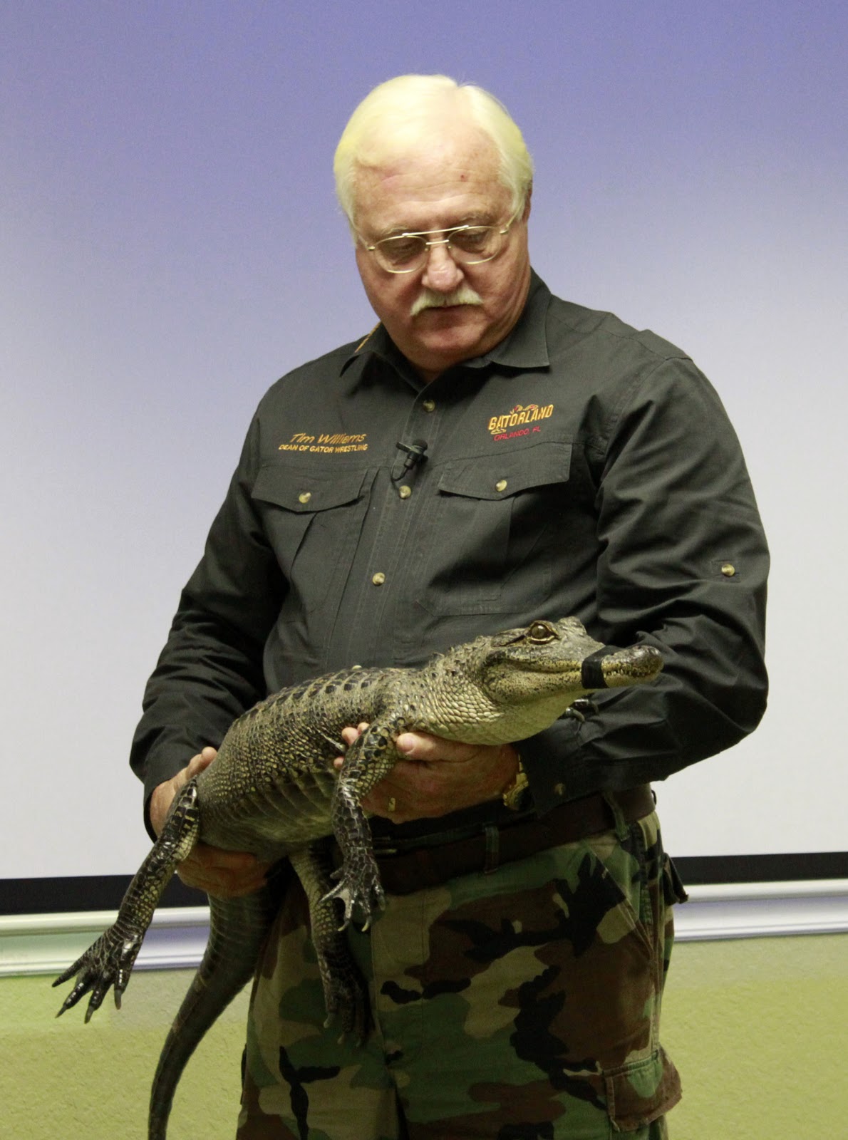 Life on the West Coast: 5 Flights and an Alligator