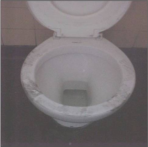 Vakkom G Sreekumar: The Dangers in improper use of public toilets