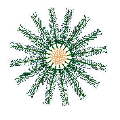 NONI paisagismo: Bloco AutoCAD: cyca; Cycas revoluta
