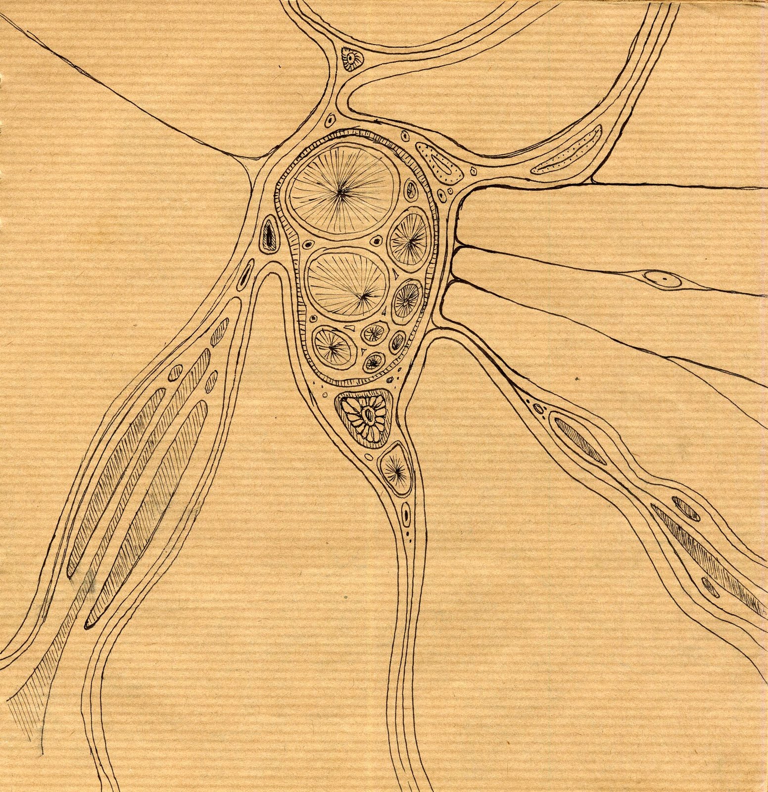 lasuperbiscotte: Biopsies
