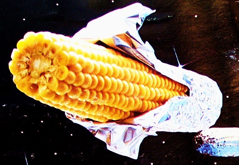 kitschen feast: November 2010