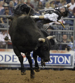 ZEE ART STUDIO: March 2009