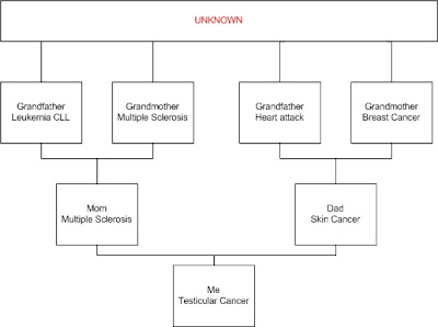Cancer Education, Advocacy & News Blog: What does your family health ...