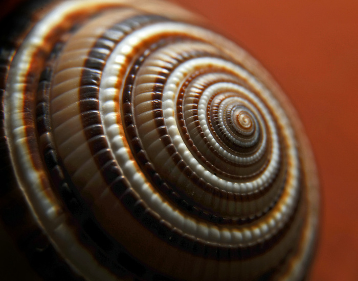B Log Chaos Theory And Fractals