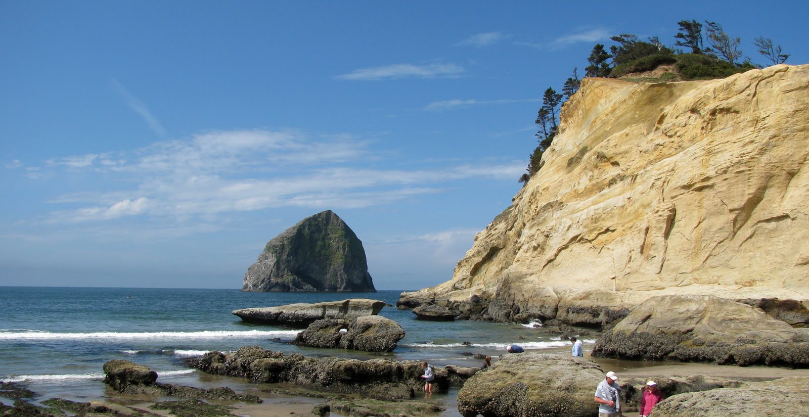 Expect the Unexpected: Dory Boats, Starfish and Ocean Waves