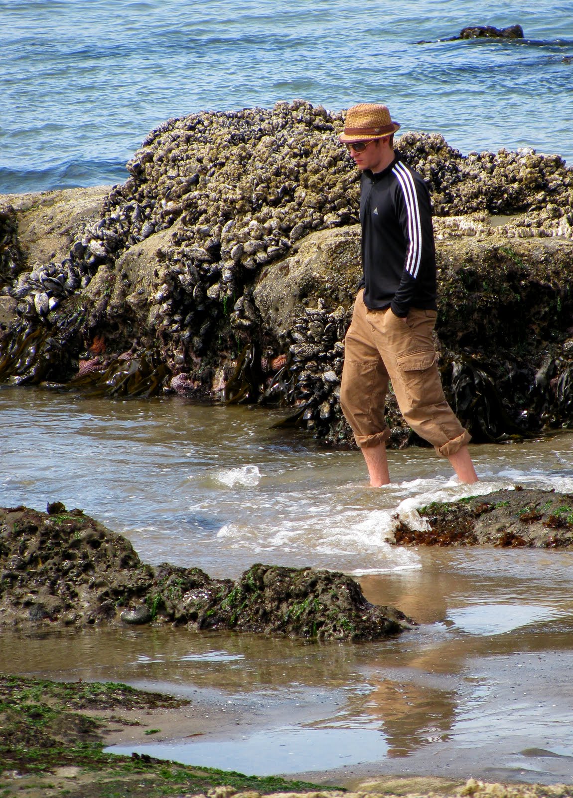 Expect the Unexpected: Dory Boats, Starfish and Ocean Waves