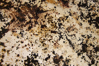 a Red Pumpkin Studio: How to Antique Paper