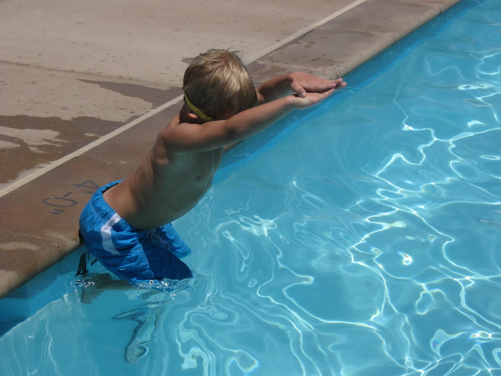 Gentle Revolution Homeschooling (Archive): Head First: Diving and ...