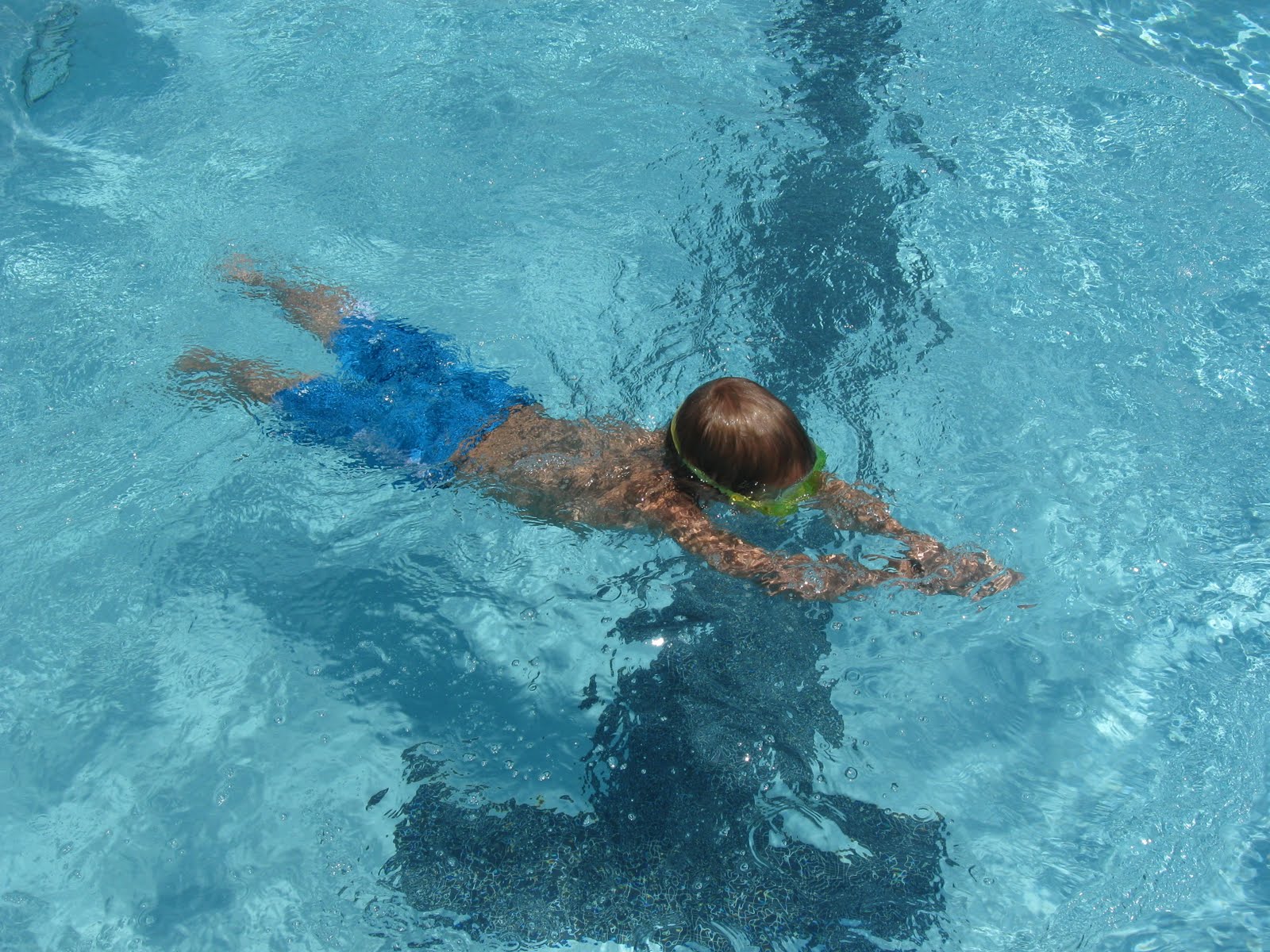 Gentle Revolution Homeschooling (Archive): Head First: Diving and ...
