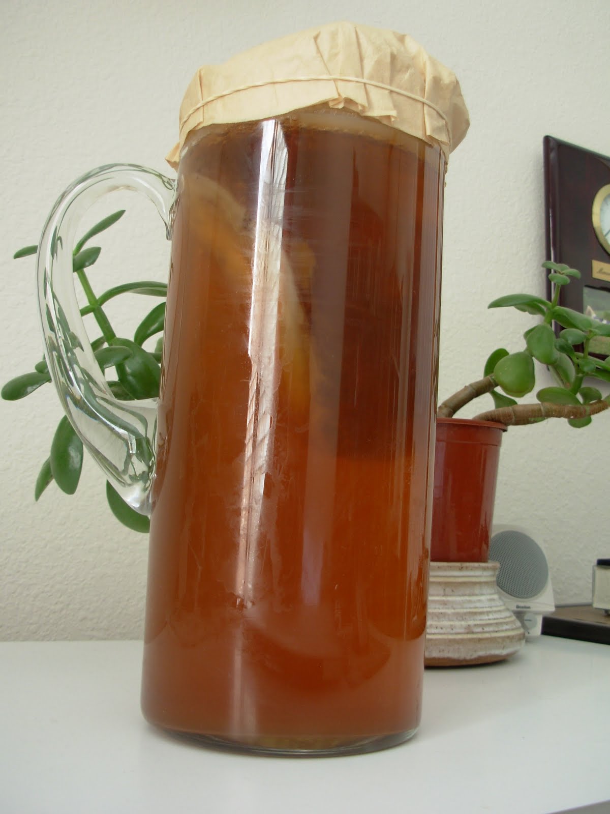 ...Morgans Menu...: 2010