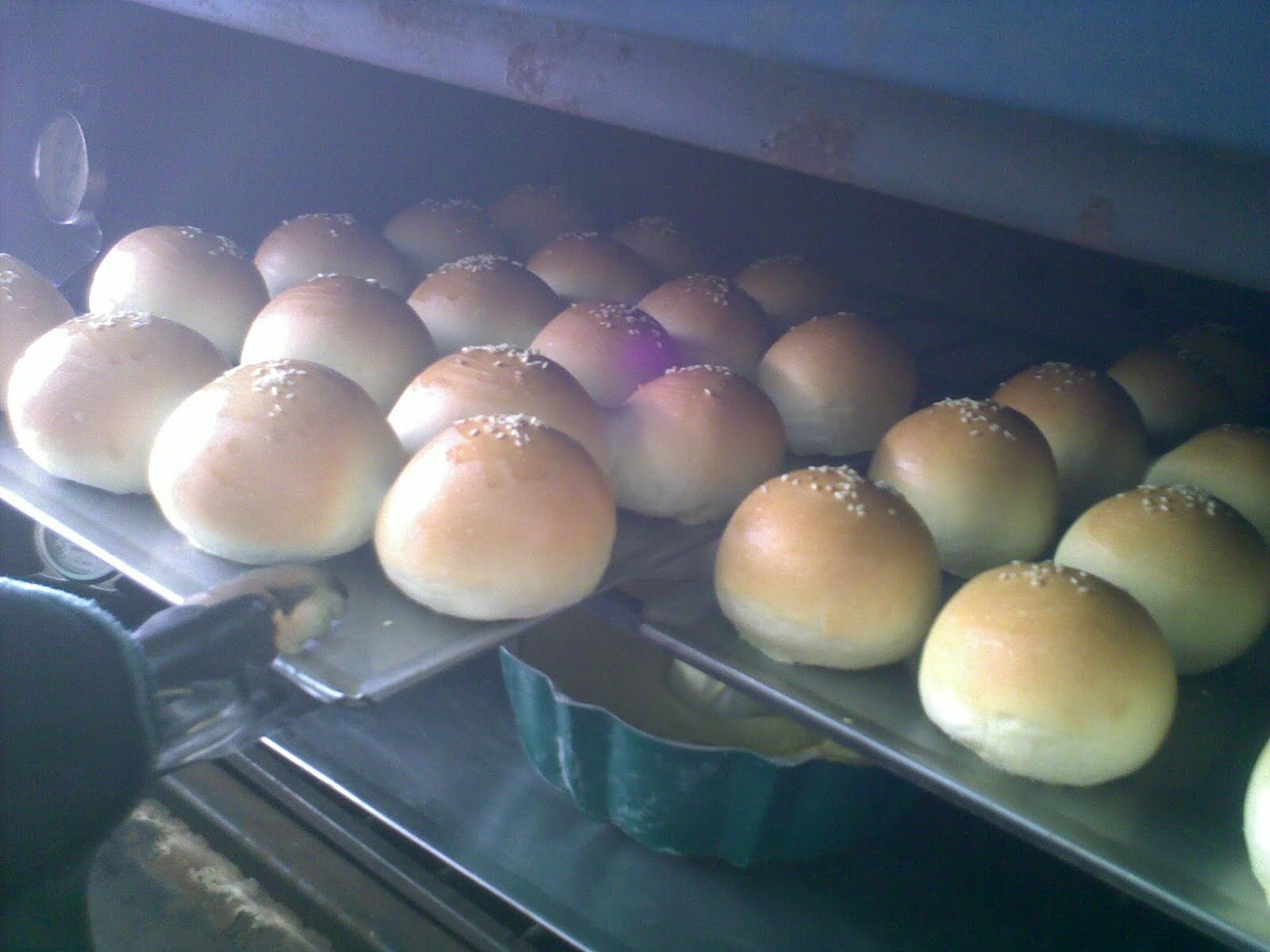 Sweet Yeast /ENSAIMADA CORRECTION