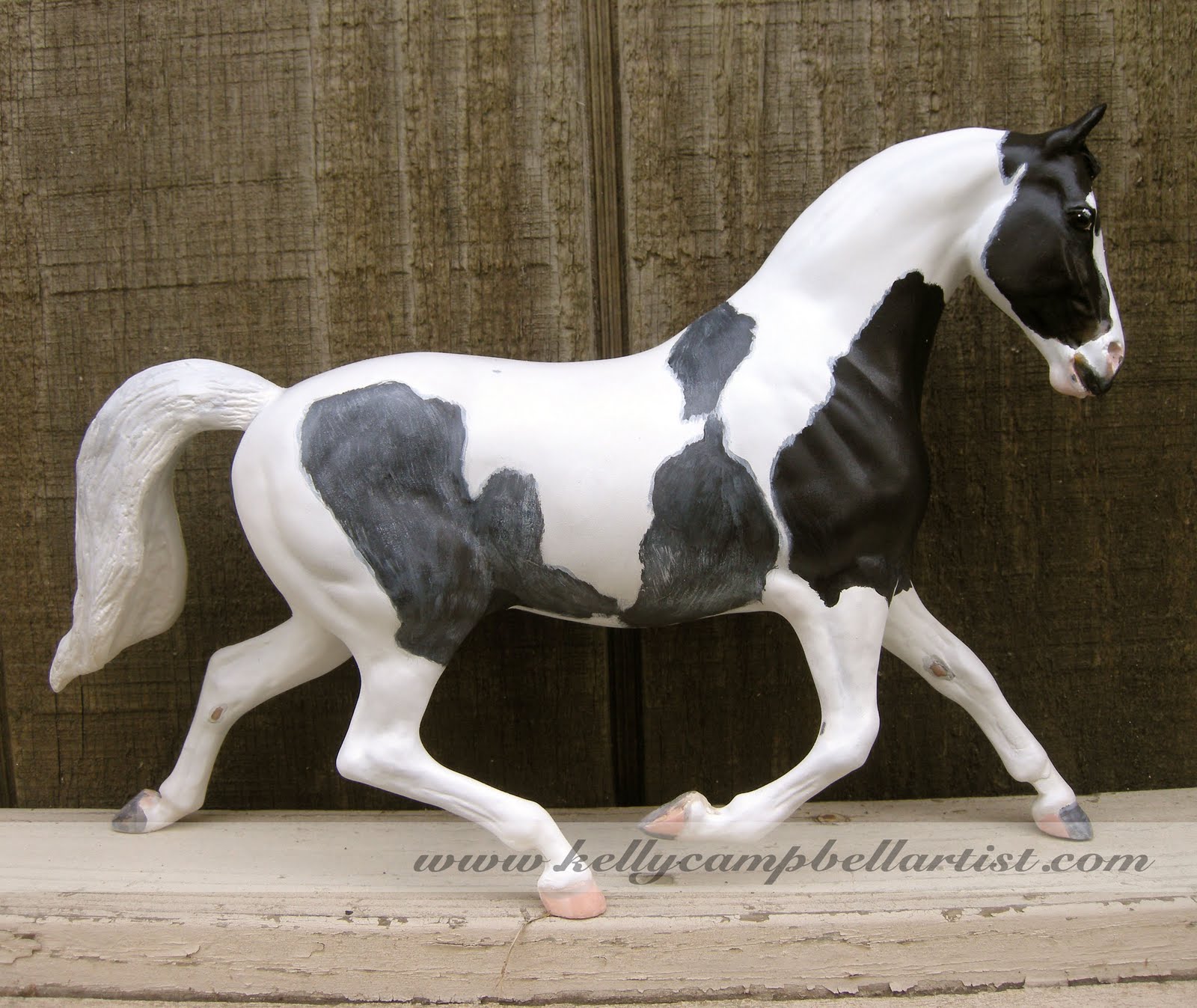 OfNatureDesigns Jewelry & Art: Meet Montana - Black and White Paint ...
