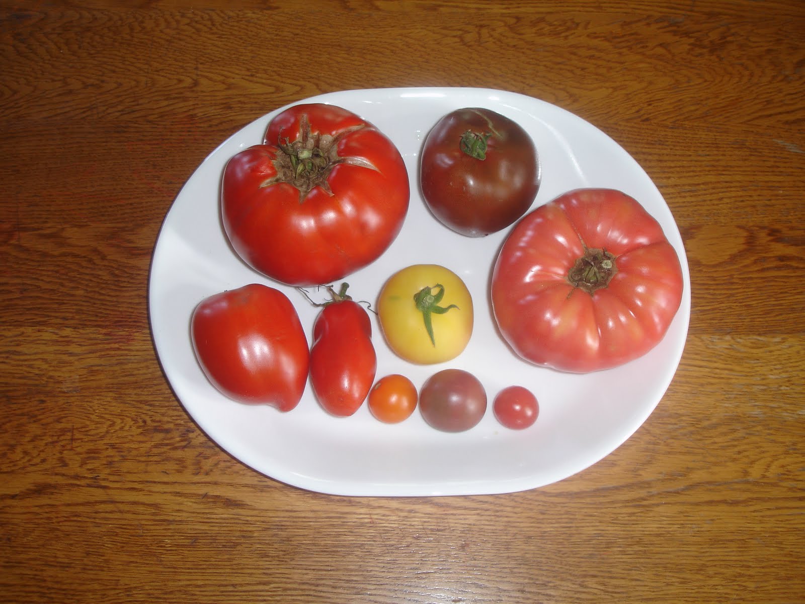Eener's Farm: Tomato Identification Guide