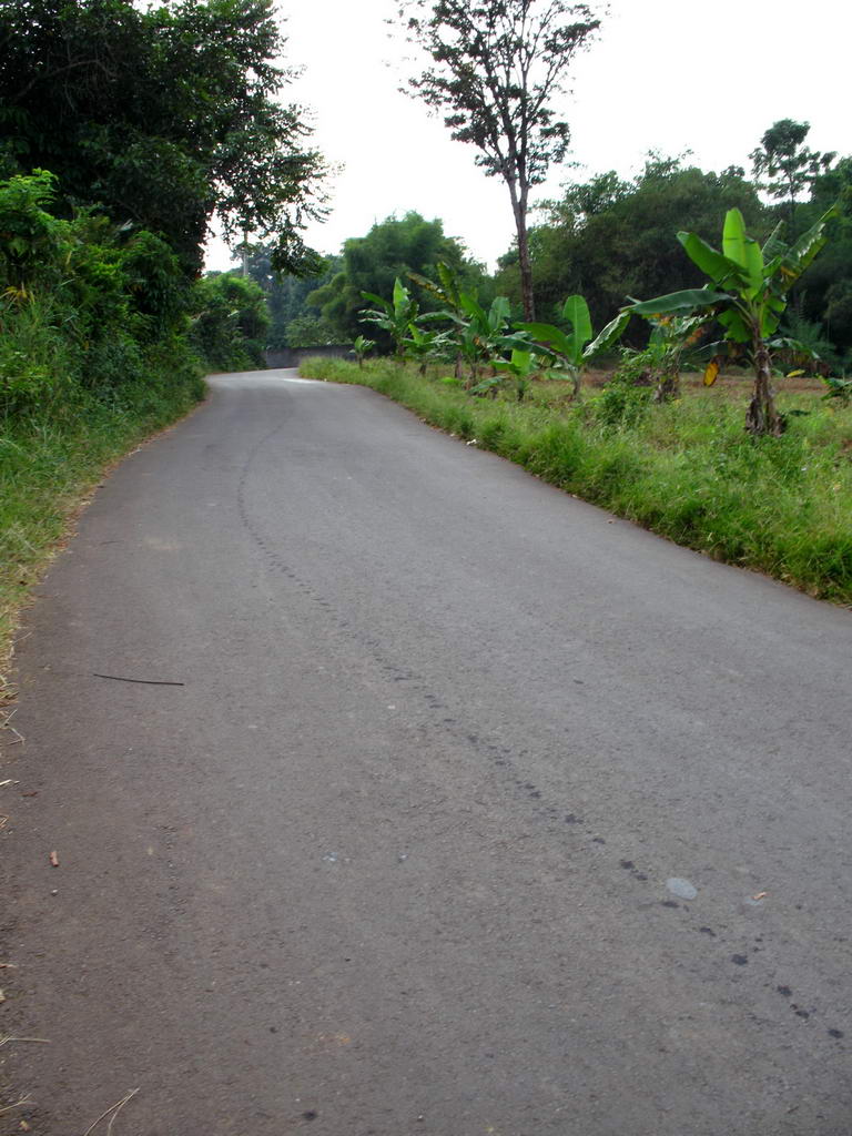 Gowes-aH: Sepedahan Sendiri: Uphill Gunung Pancar