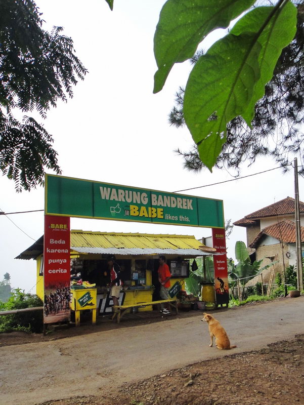 Gowes-aH: Sepedahan Sendirian: Warung Bandrek - Dago Pakar Atas
