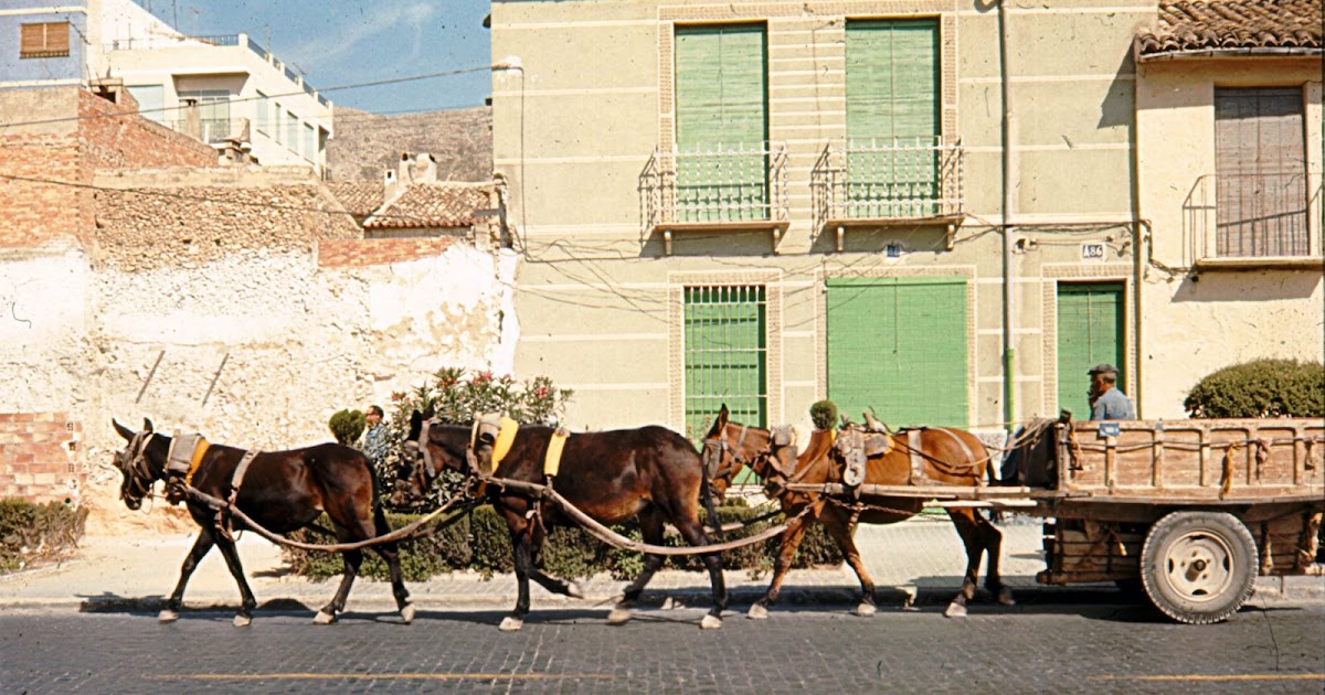 VILLENA CUÉNTAME: 1972 MULA CON CARRO POR LA CALLE ANCHA