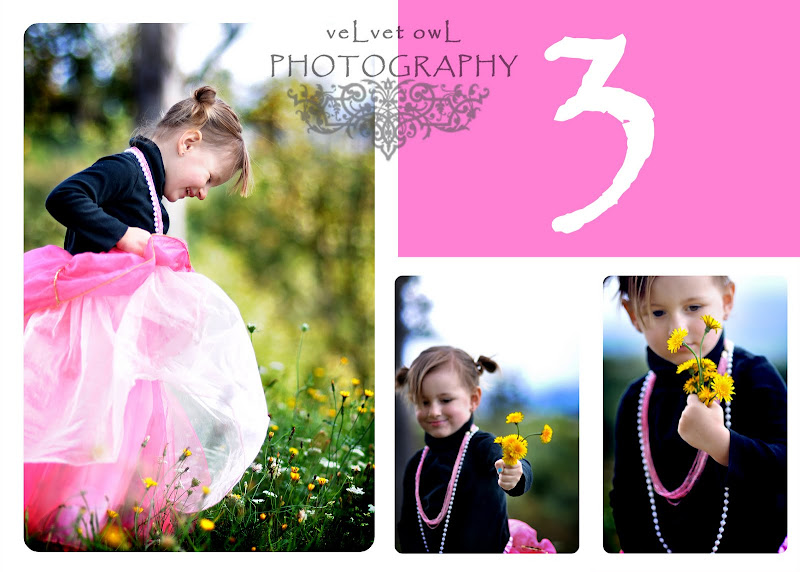 :: My Princess Birthday Girl! :: » VELVET OWL BLOG